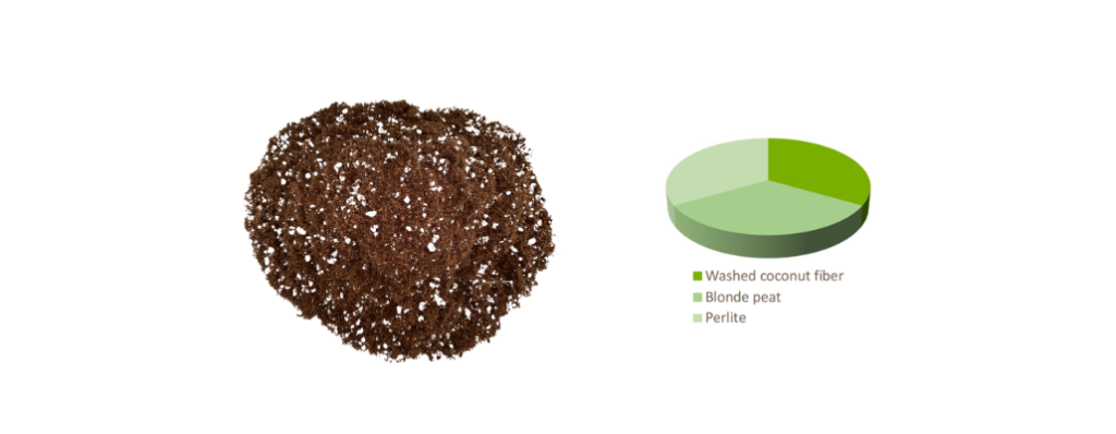 Setting up a hydroponic blueberry system | Pelemix