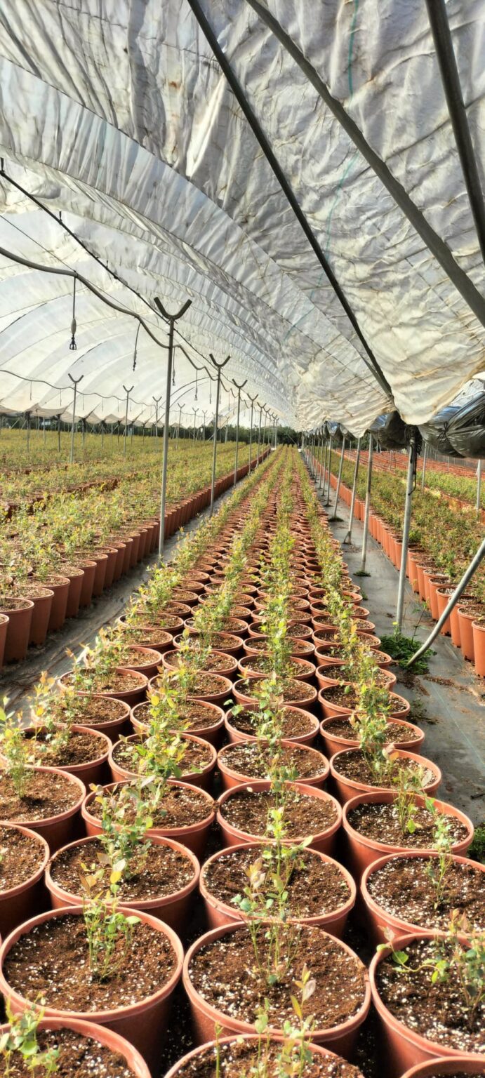 Practical keys on pH, salinity, and substrate texture for profitable ...